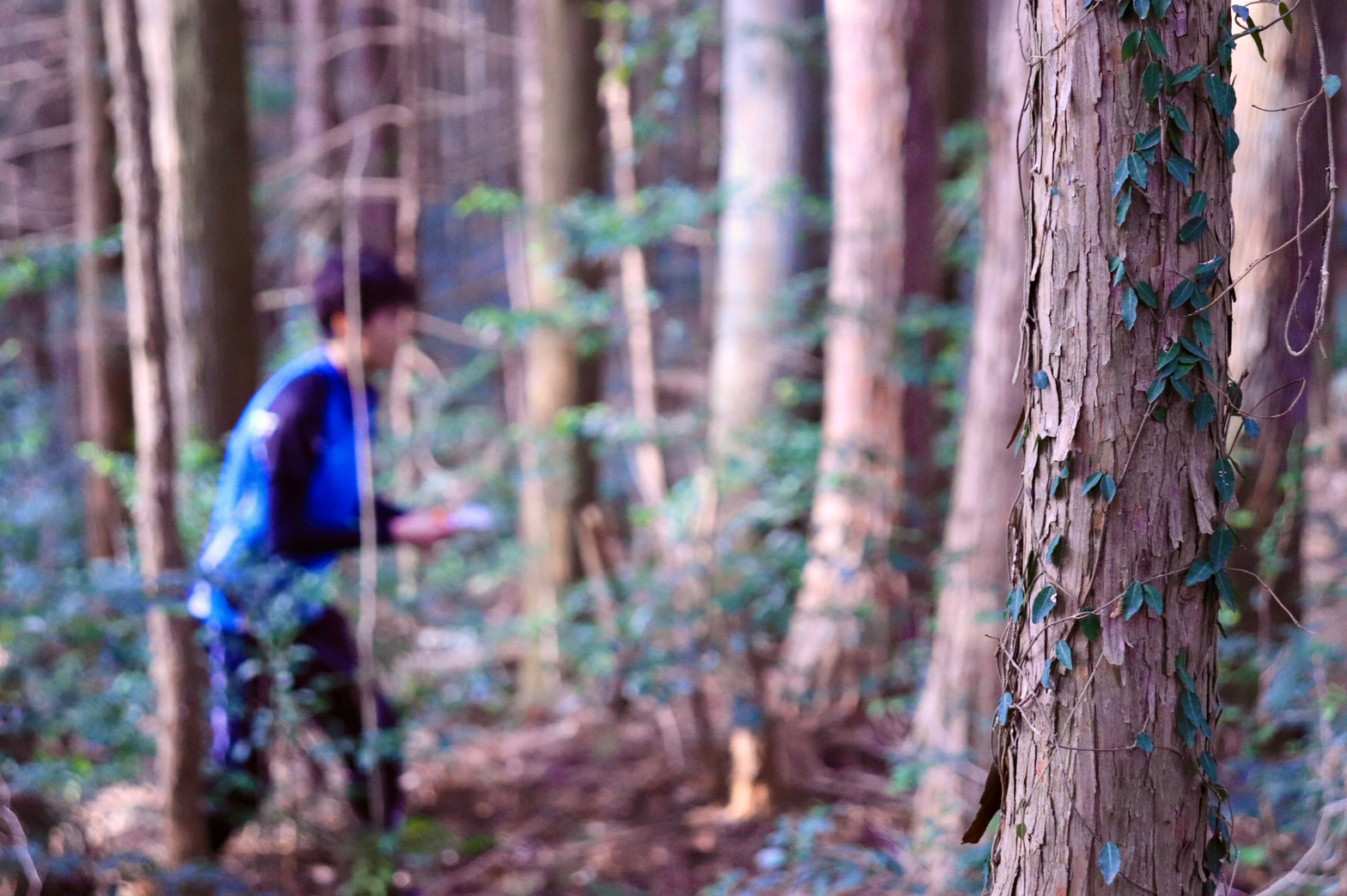 OLKってどんなサークル？ | 東大OLK新歓サイト